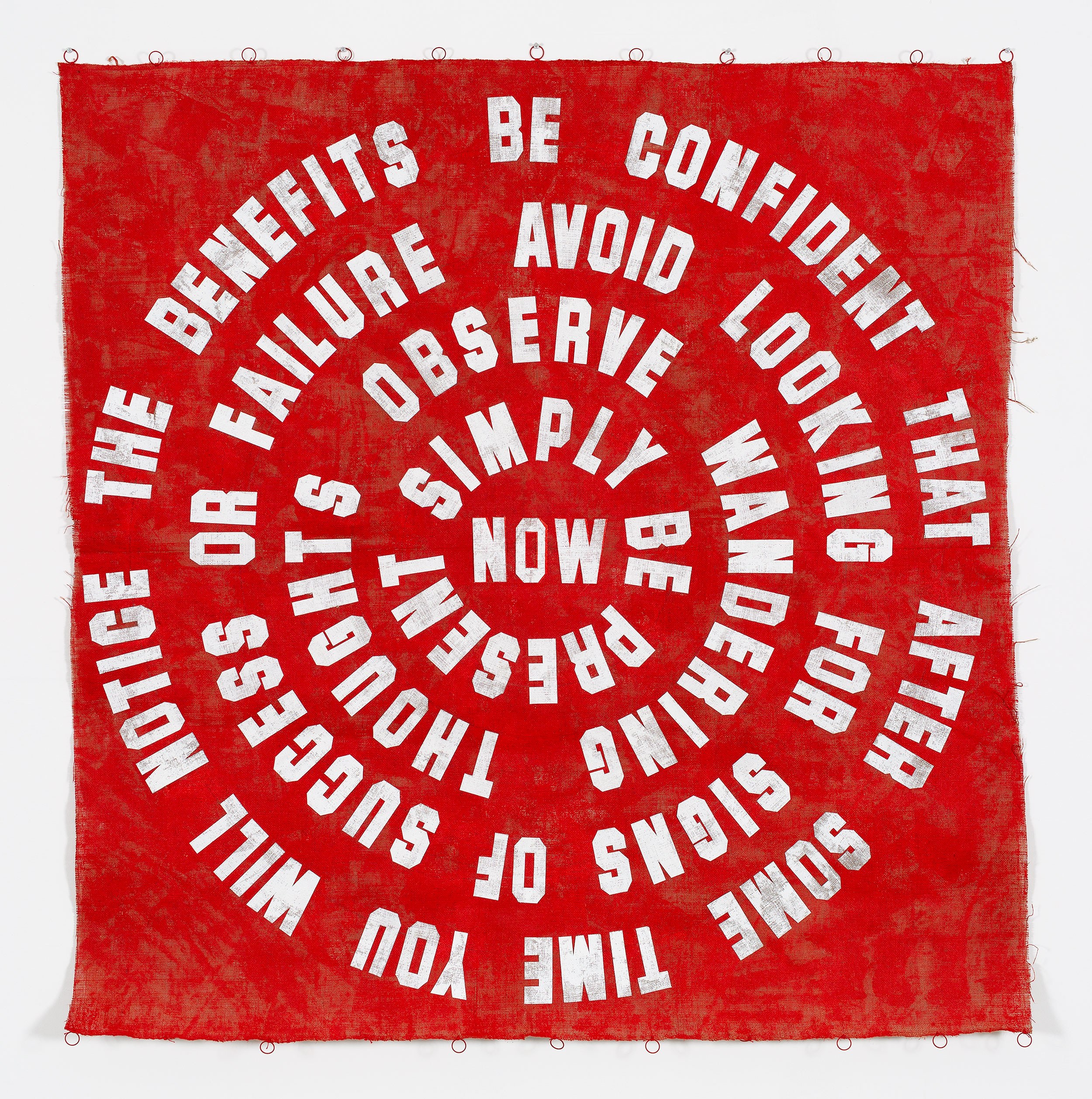 Rose Nolan | Anna Schwartz Gallery