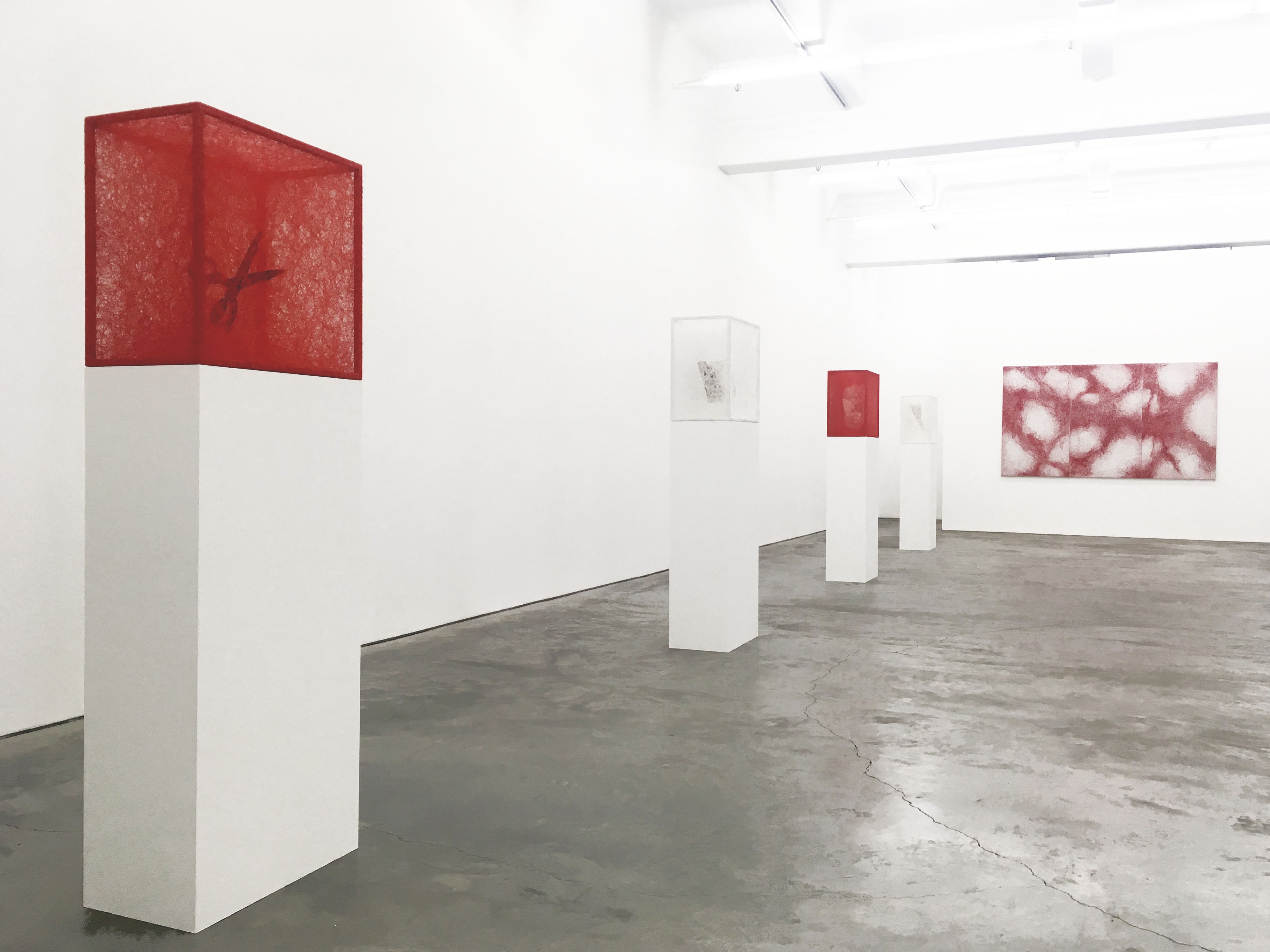 Exhibitions | Anna Schwartz Gallery