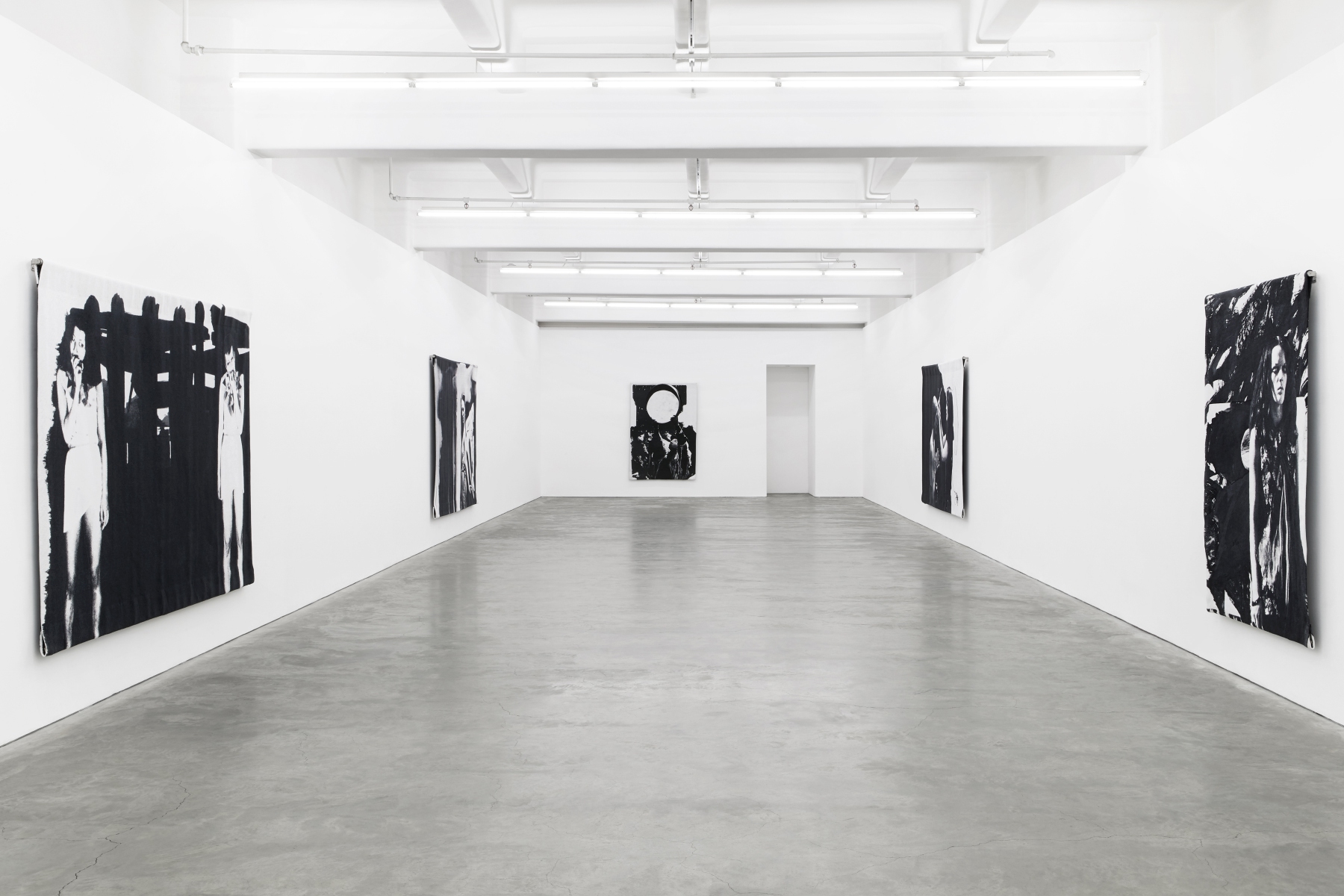 David Noonan | Anna Schwartz Gallery