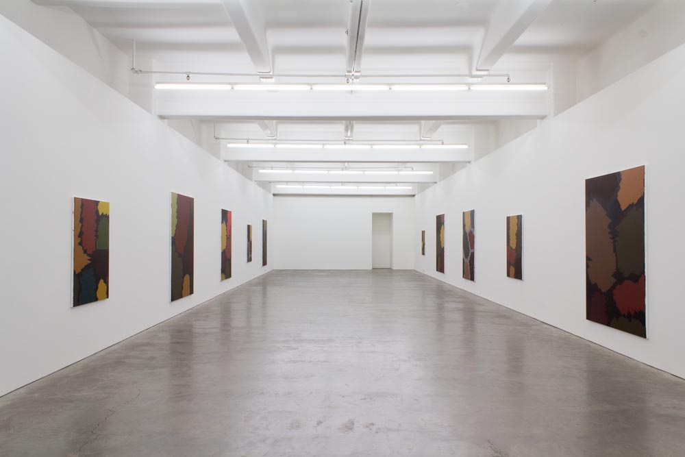 Stephen Bram | Anna Schwartz Gallery