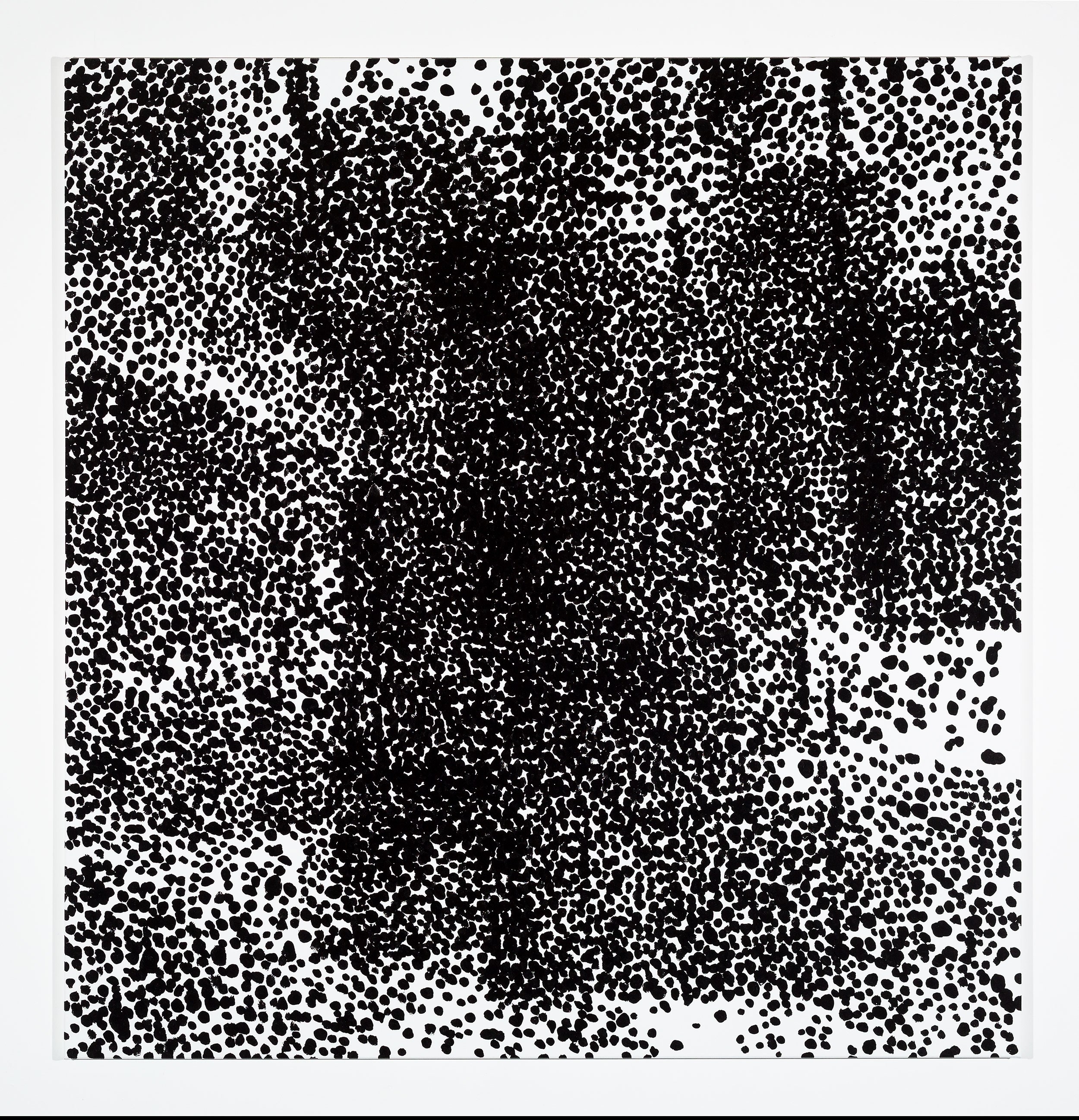 Jan Nelson | Anna Schwartz Gallery