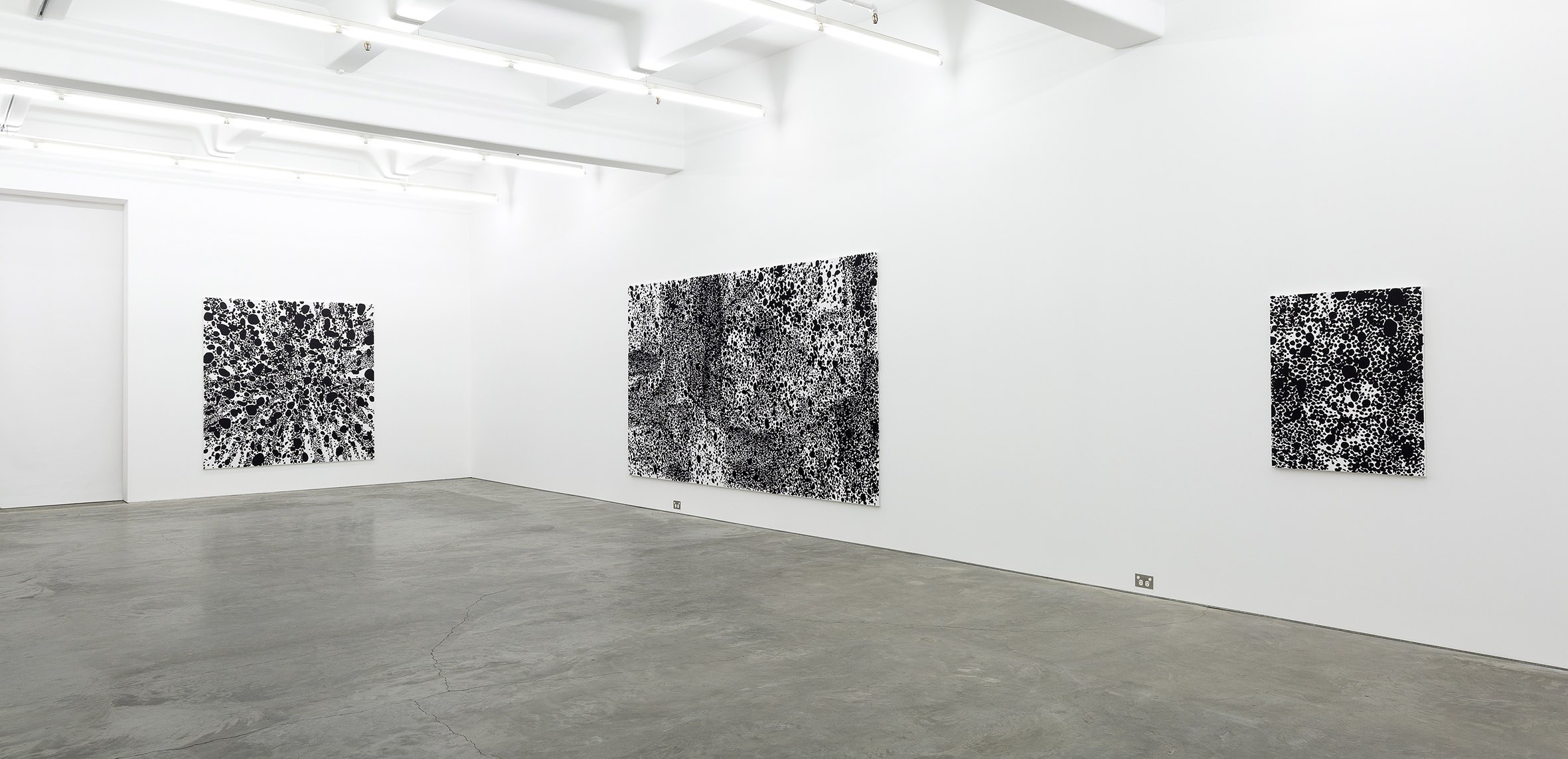 Exhibitions | Anna Schwartz Gallery