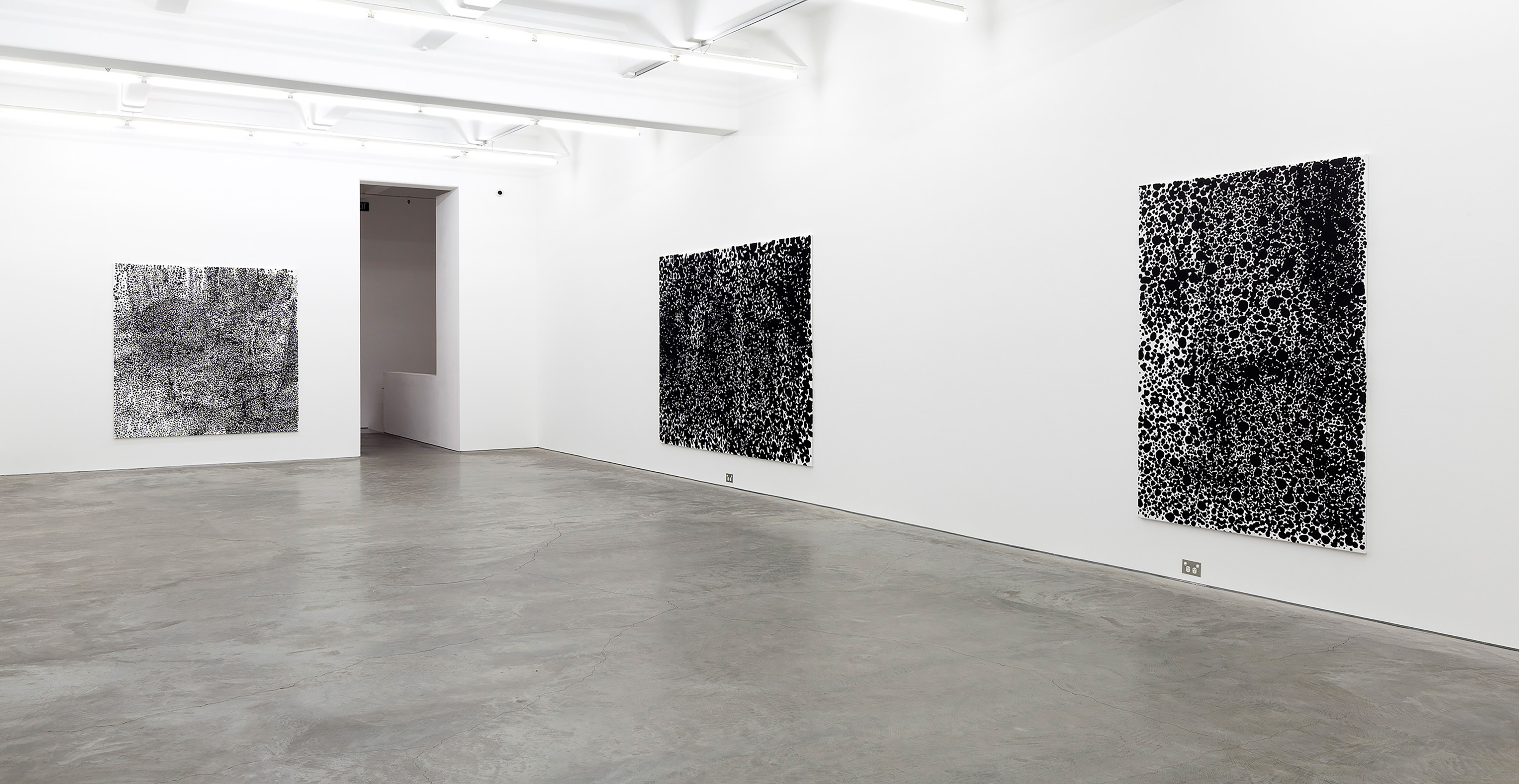 Stephen Bram | Anna Schwartz Gallery
