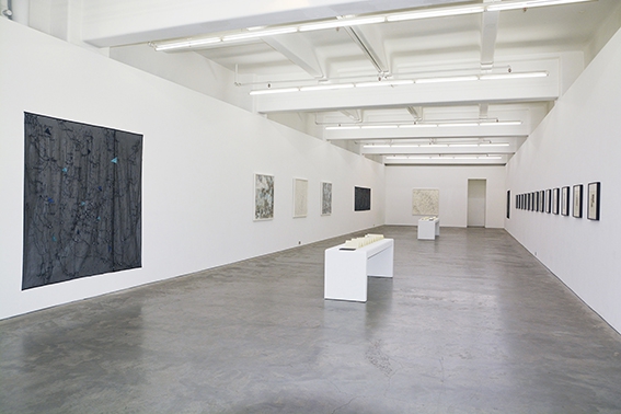 Exhibitions | Anna Schwartz Gallery
