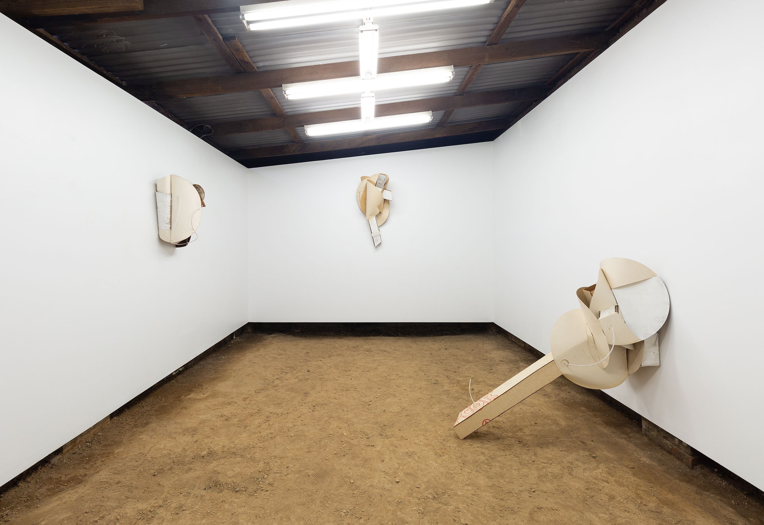 Rose Nolan | Anna Schwartz Gallery