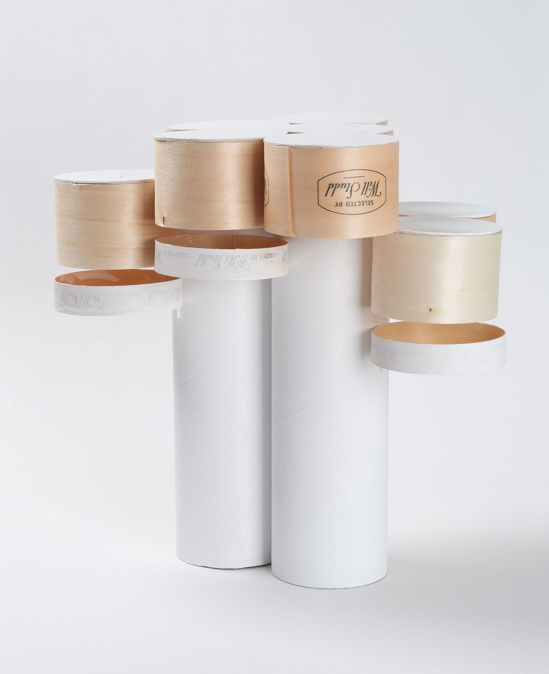 Rose Nolan | Anna Schwartz Gallery