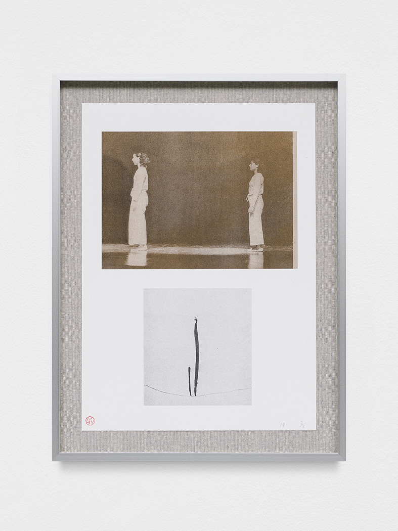 David Noonan | Anna Schwartz Gallery