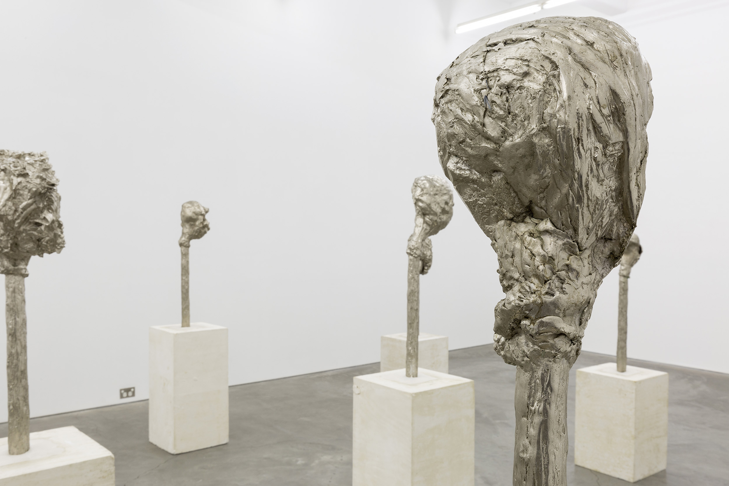 VOLTE FACE | Anna Schwartz Gallery