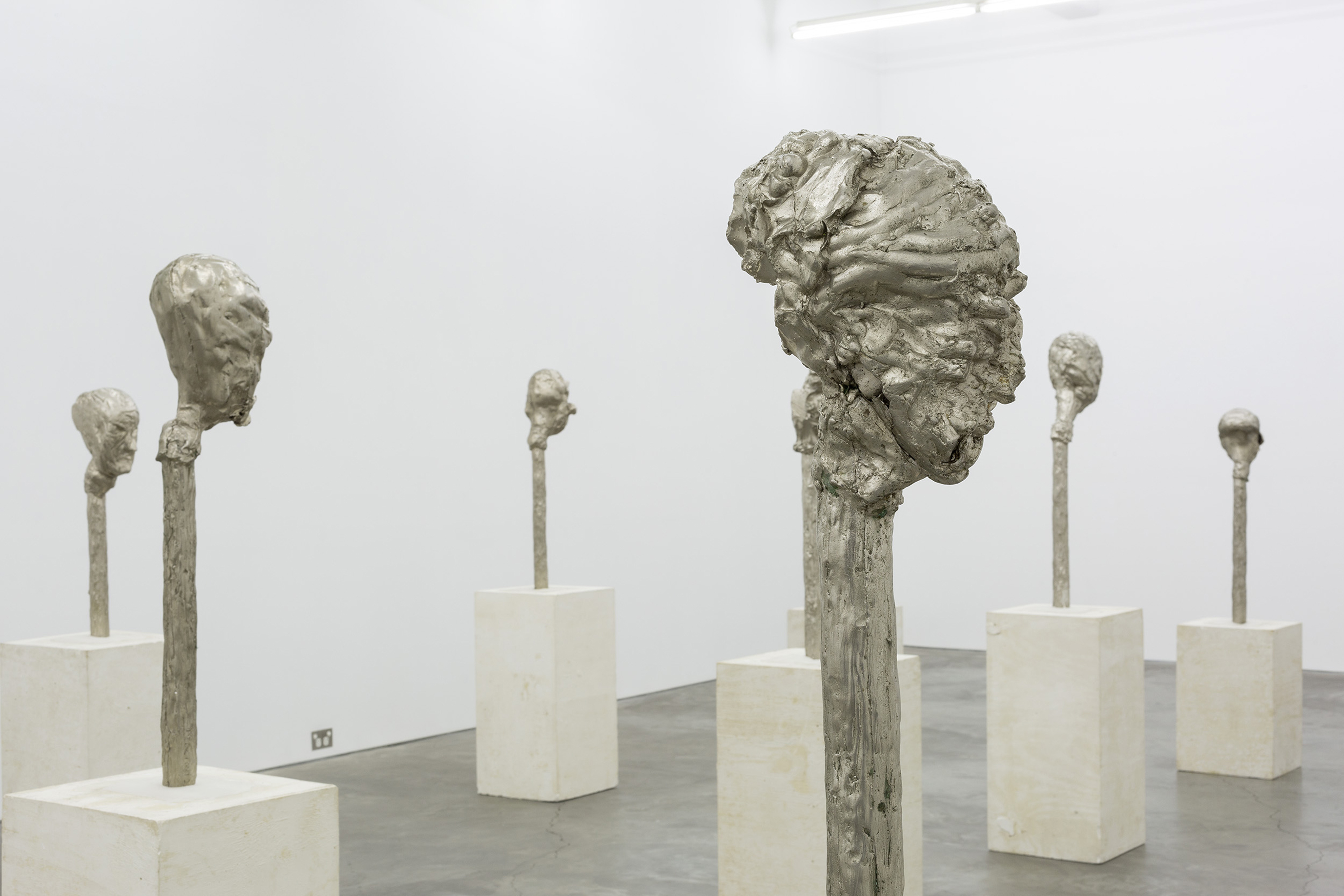 VOLTE FACE | Anna Schwartz Gallery