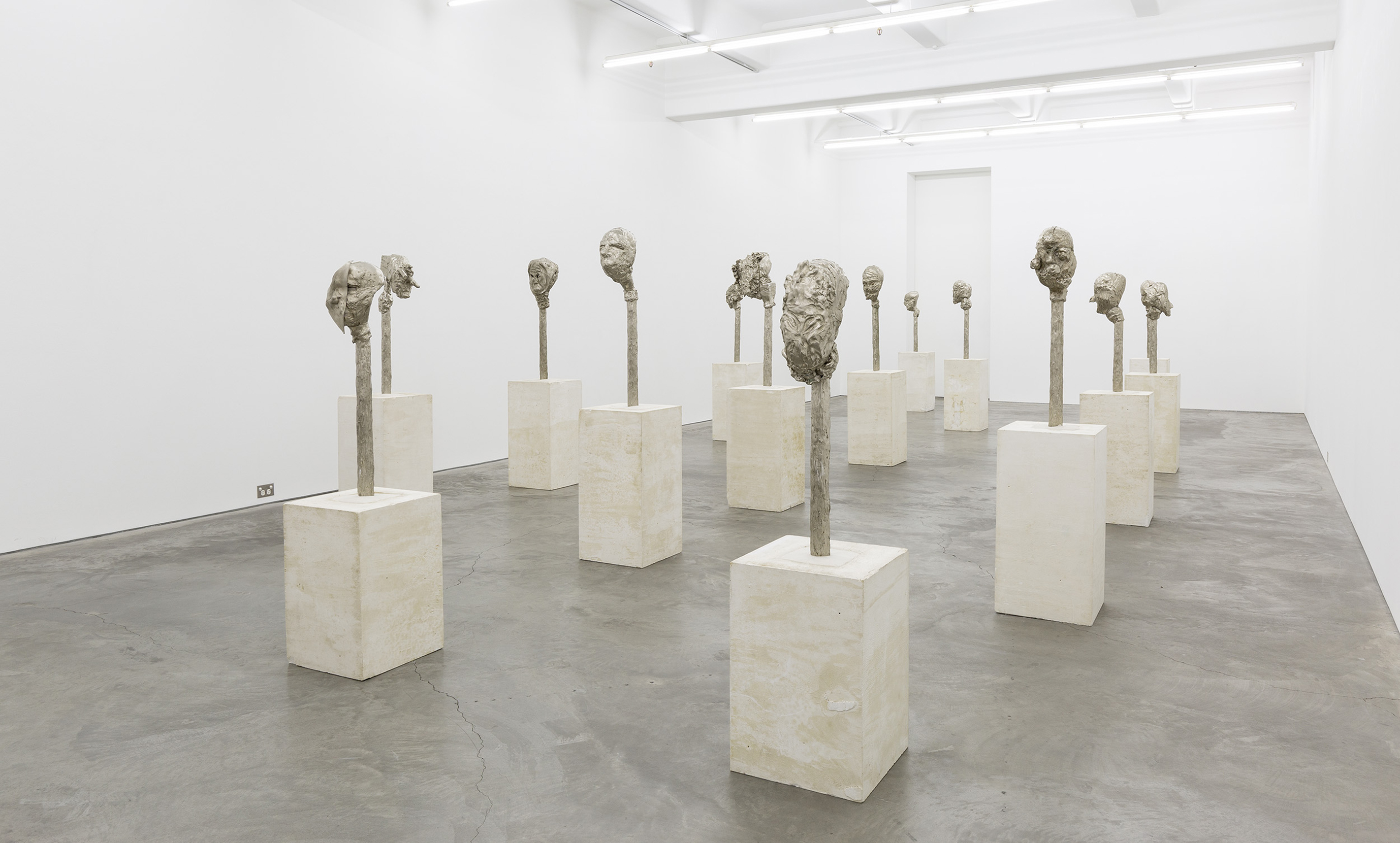 VOLTE FACE | Anna Schwartz Gallery