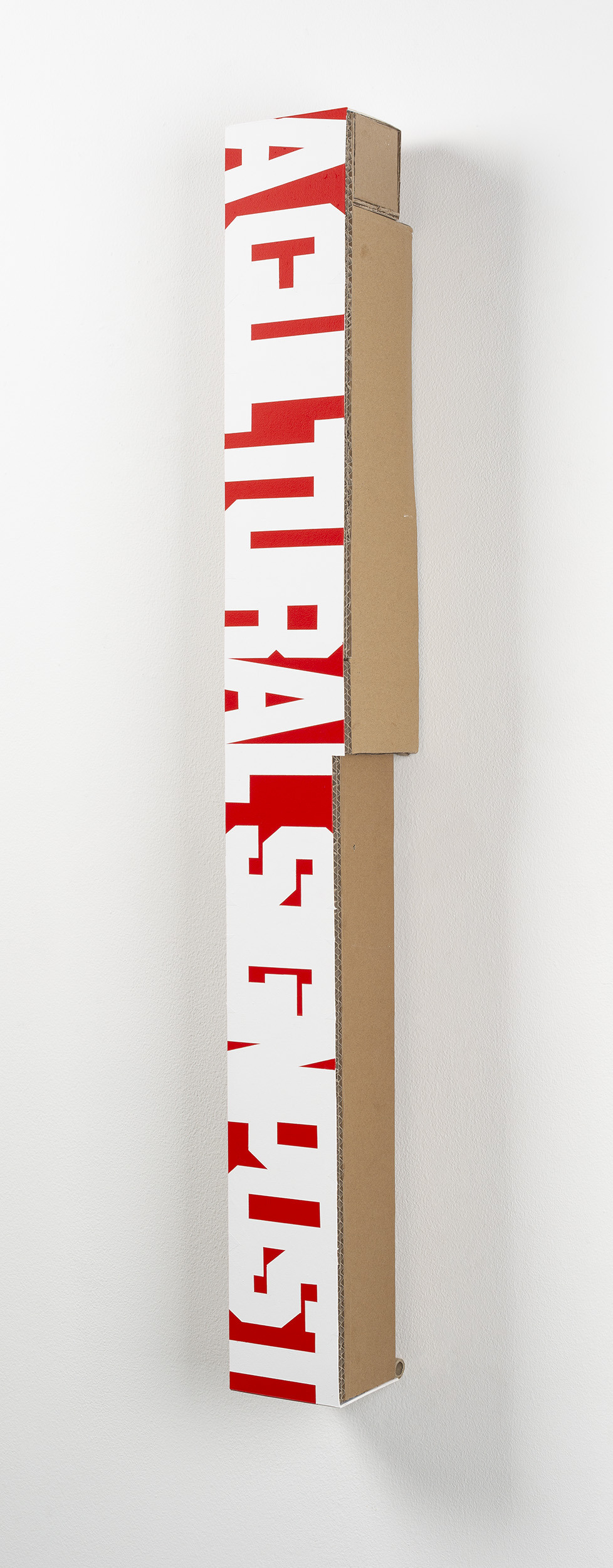 Rose Nolan | Anna Schwartz Gallery