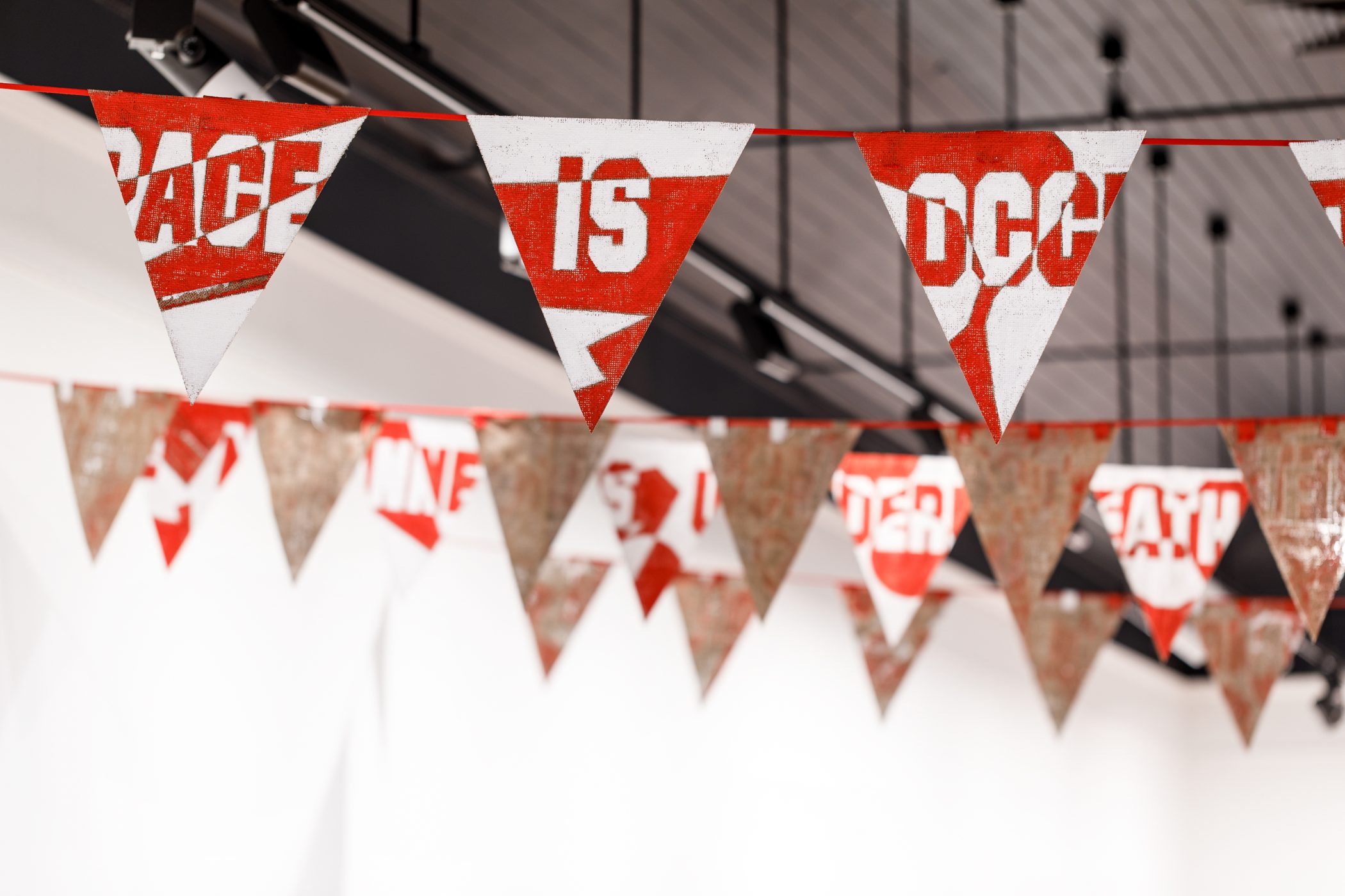 Rose Nolan | Anna Schwartz Gallery