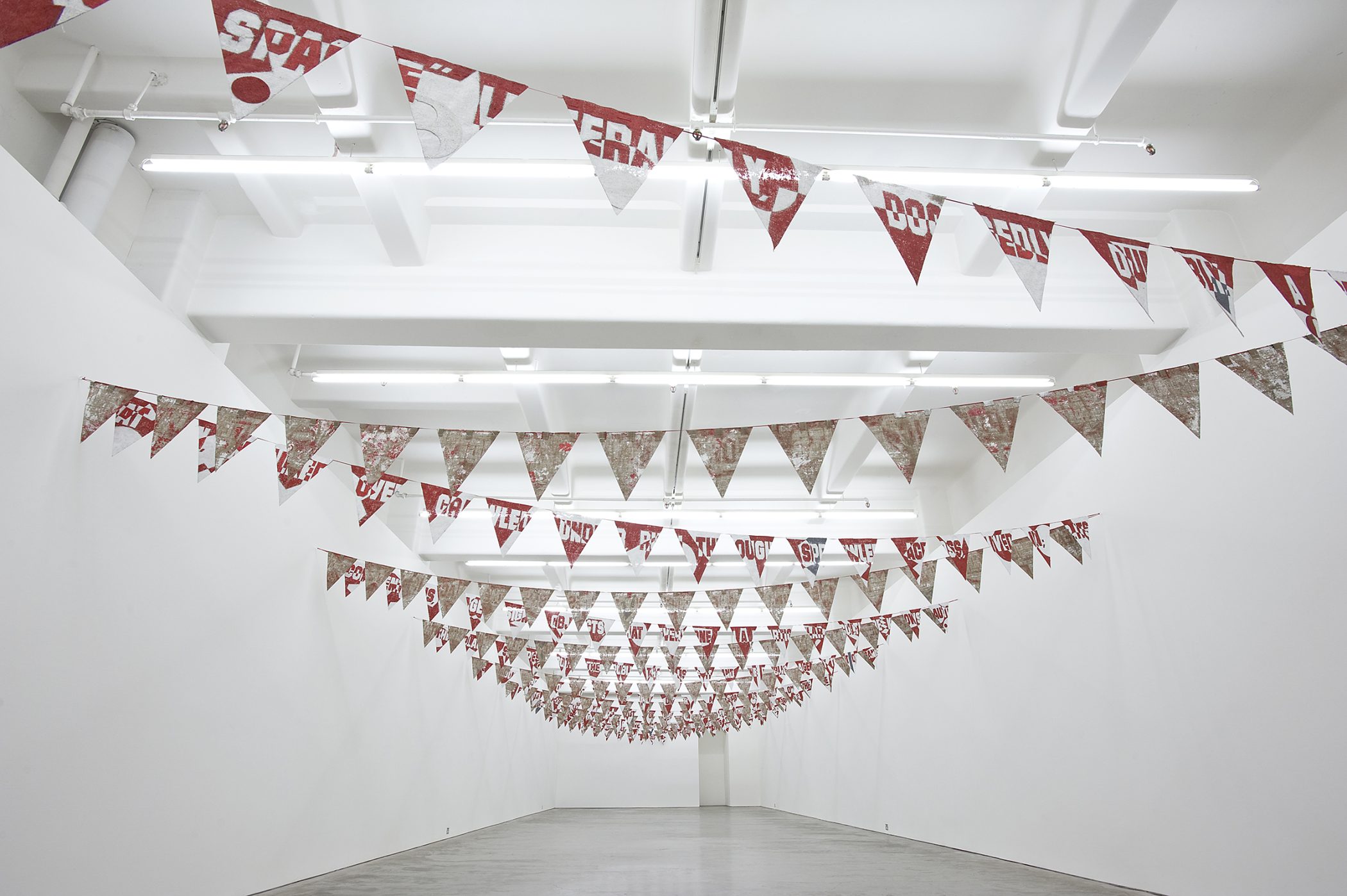 Rose Nolan | Anna Schwartz Gallery