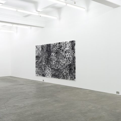 Stephen Bram | Anna Schwartz Gallery