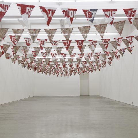 Rose Nolan | Anna Schwartz Gallery