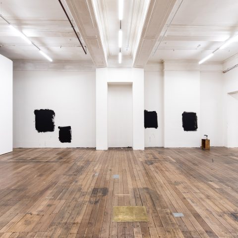 Mike Parr | Anna Schwartz Gallery