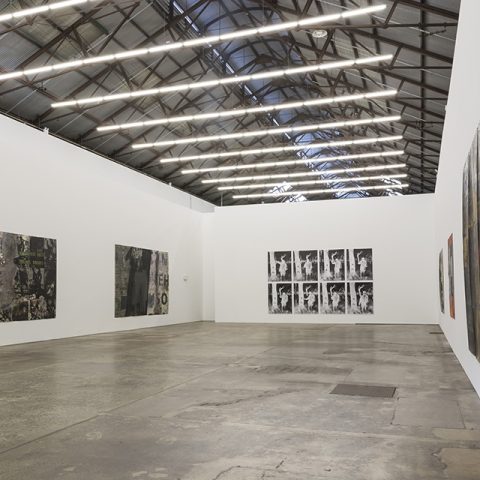 Mike Parr | Anna Schwartz Gallery