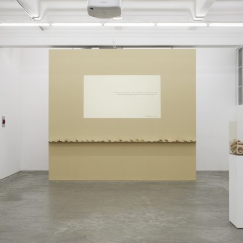 Su san Cohn | Anna Schwartz Gallery
