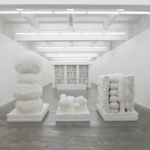 Kathy Temin | Anna Schwartz Gallery
