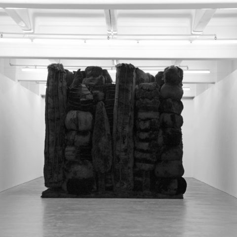 Kathy Temin | Anna Schwartz Gallery