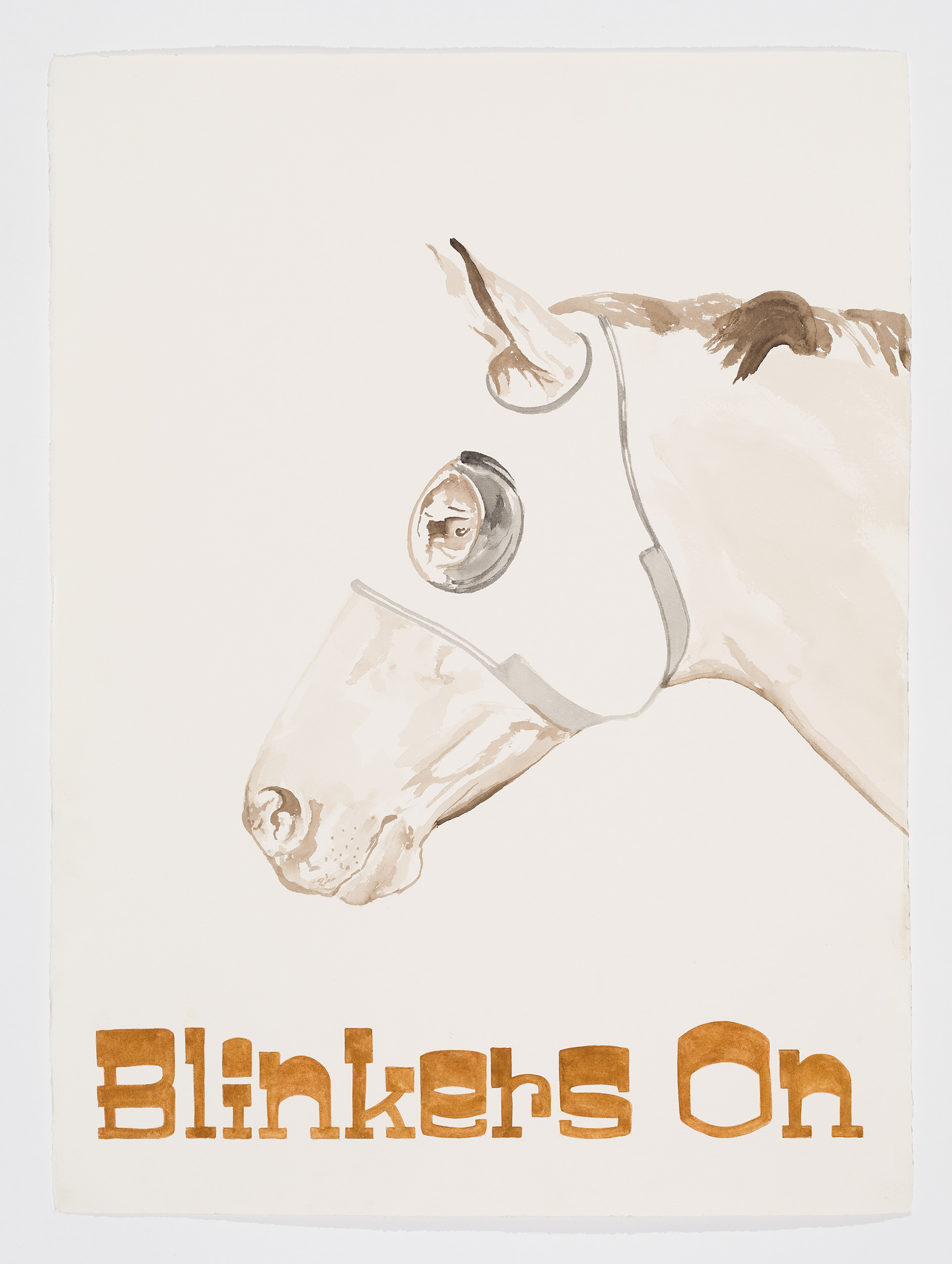 Stieg Persson | Anna Schwartz Gallery