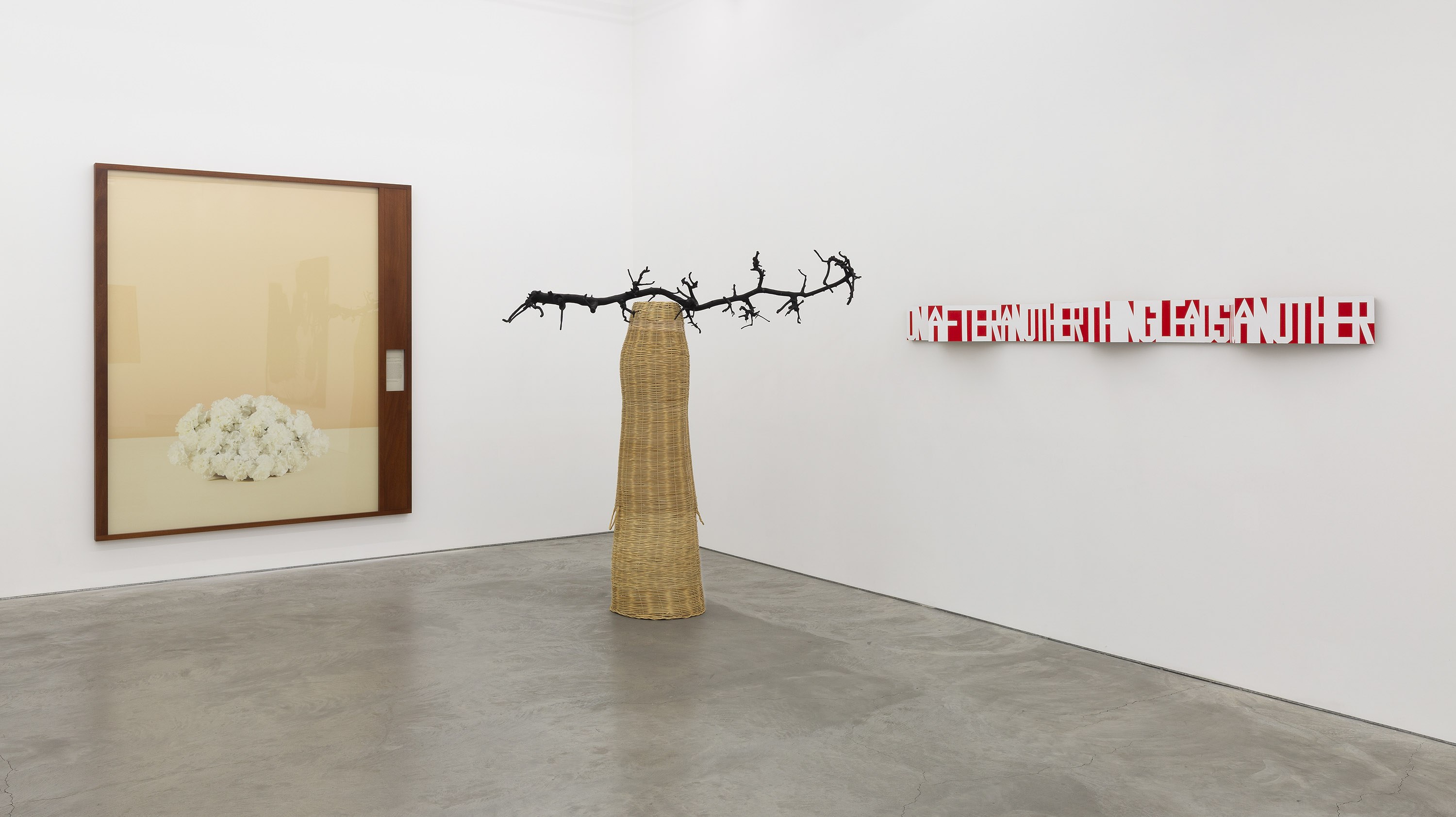 Exhibitions | Anna Schwartz Gallery